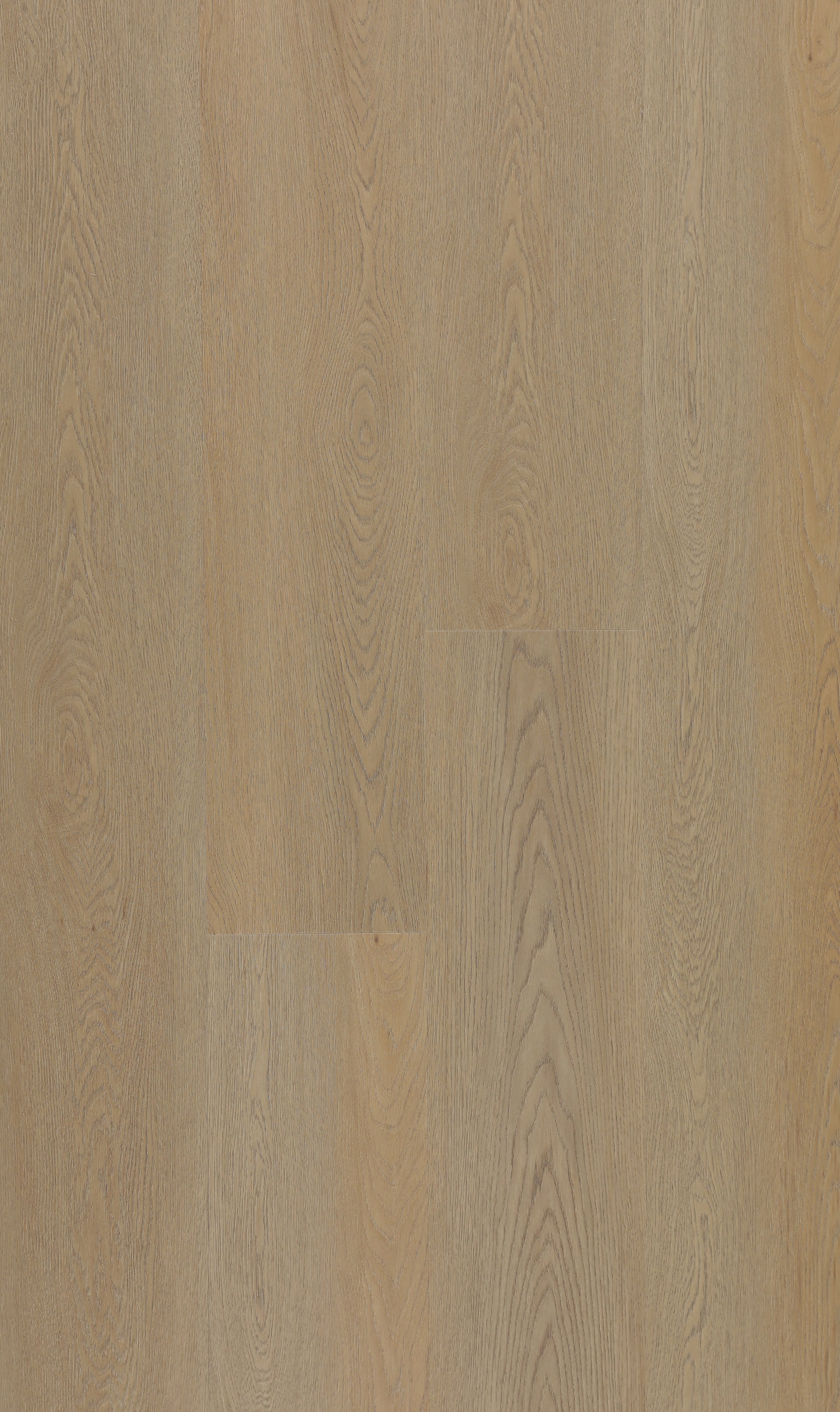 6mm ABA Amber Oak SPC rigid core flooring - 8801 – Floorplus