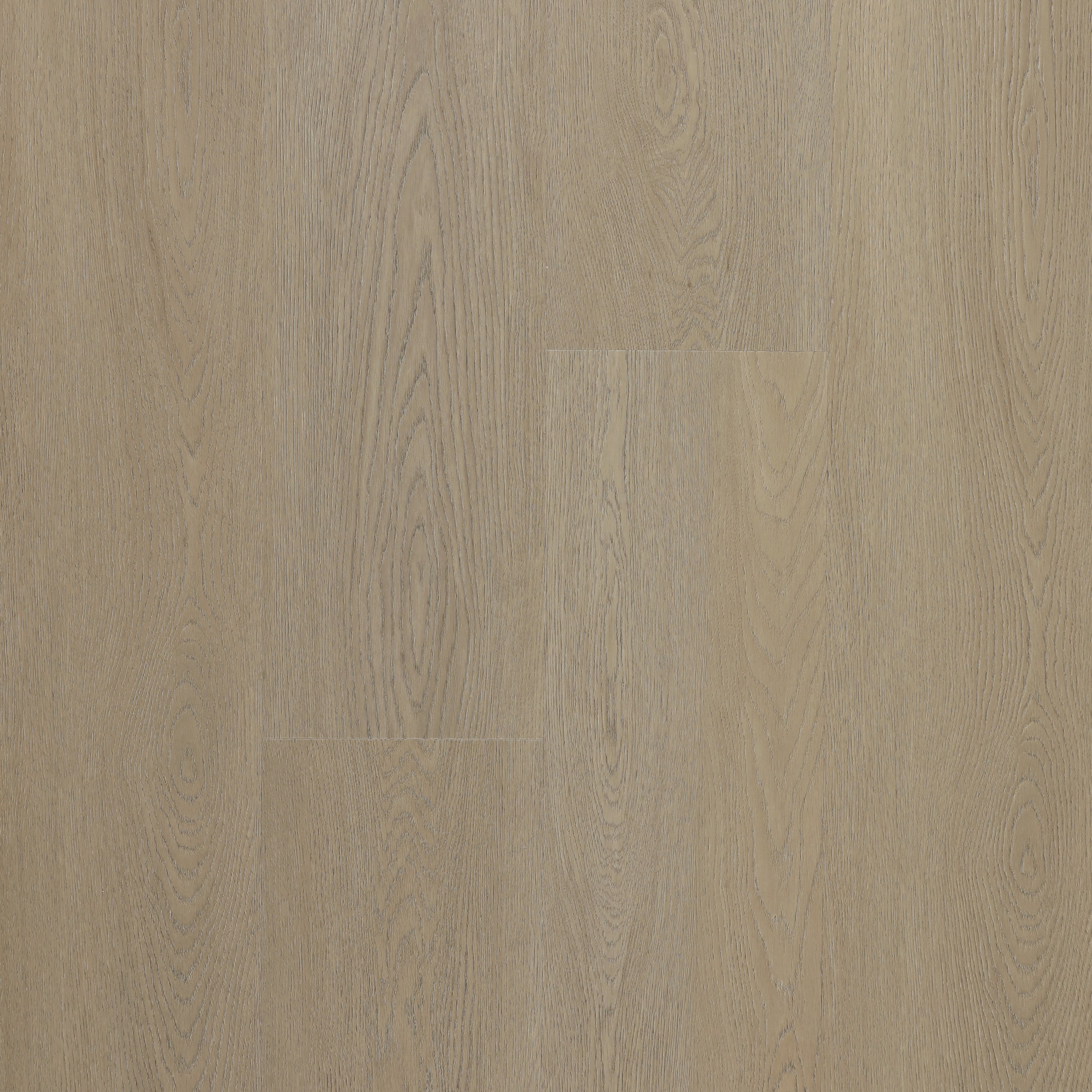 6mm ABA Maple Mist SPC rigid core flooring - 8805 – Floorplus